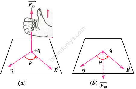 Magnetic Effect of Current | BrainDuniya