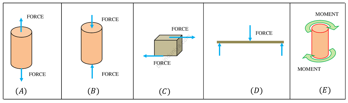 Types of Stress - BrainDuniya